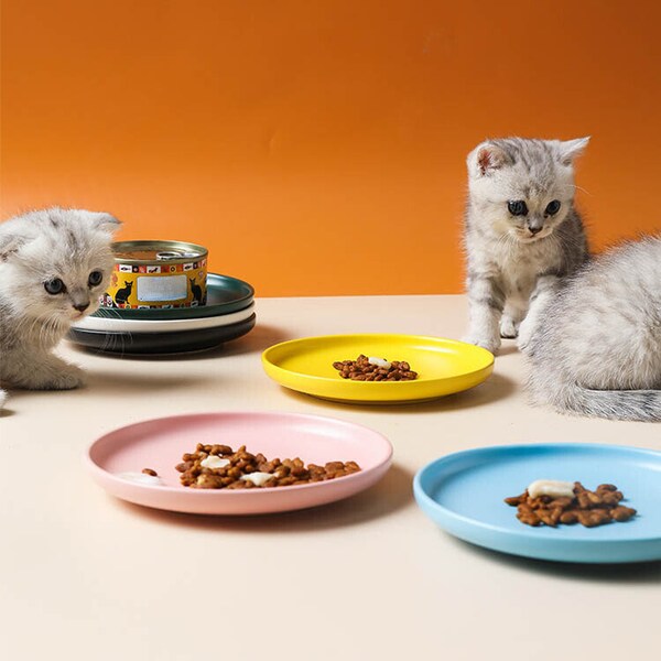 Modern Cat Bowl - Etsy