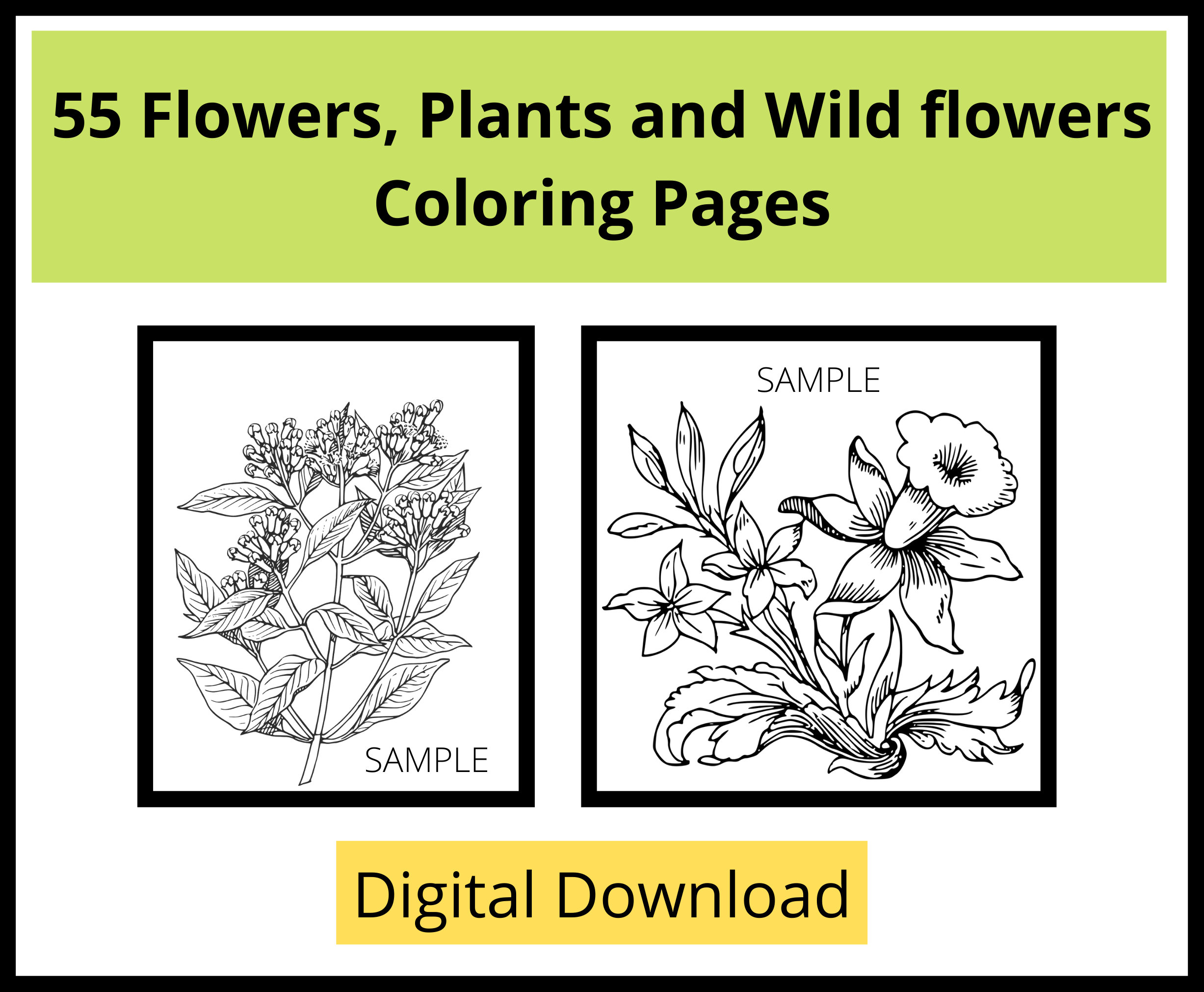 Coloring Pages Of Wild Flowers