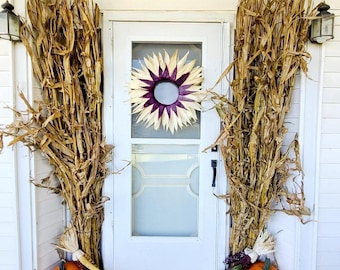 Dried Corn Stalks Bundle Fall Decor Thanksgiving Halloween & Fall 50 to ...