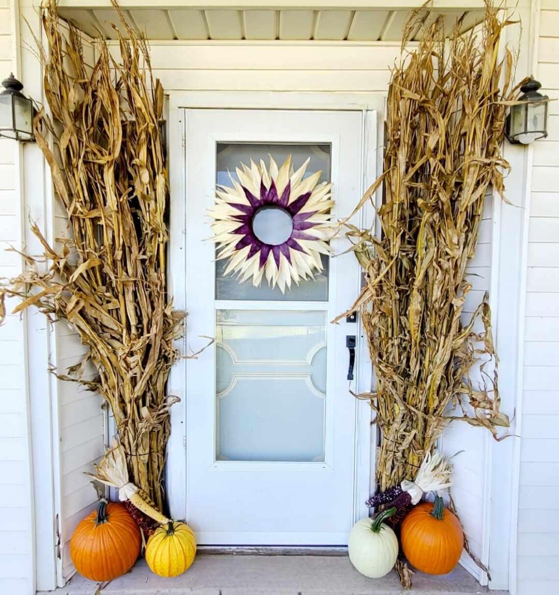 Dried Corn Stalks Bundle Fall Decor Thanksgiving Halloween & Fall - 72 ...