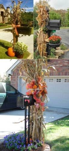32 Inch Dried Corn Stalks Bundle Fall Decor Halloween/thanksgiving Fall ...