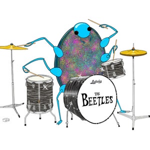 The Beatles (beetles) - 'ringo' Original Digital Artwork - Unframed ...