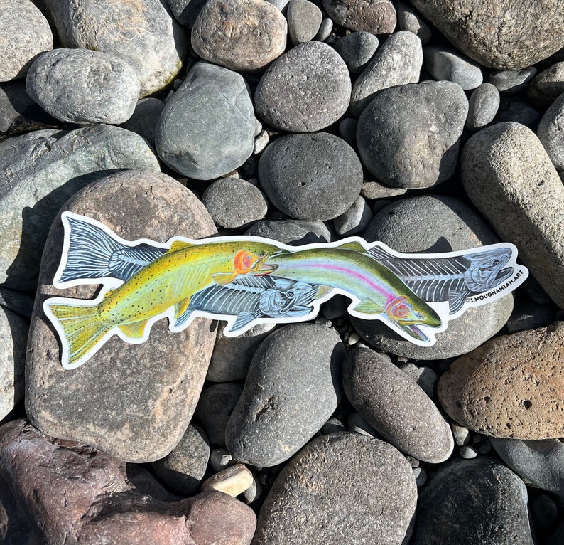 Twisted Trout Decal - Etsy