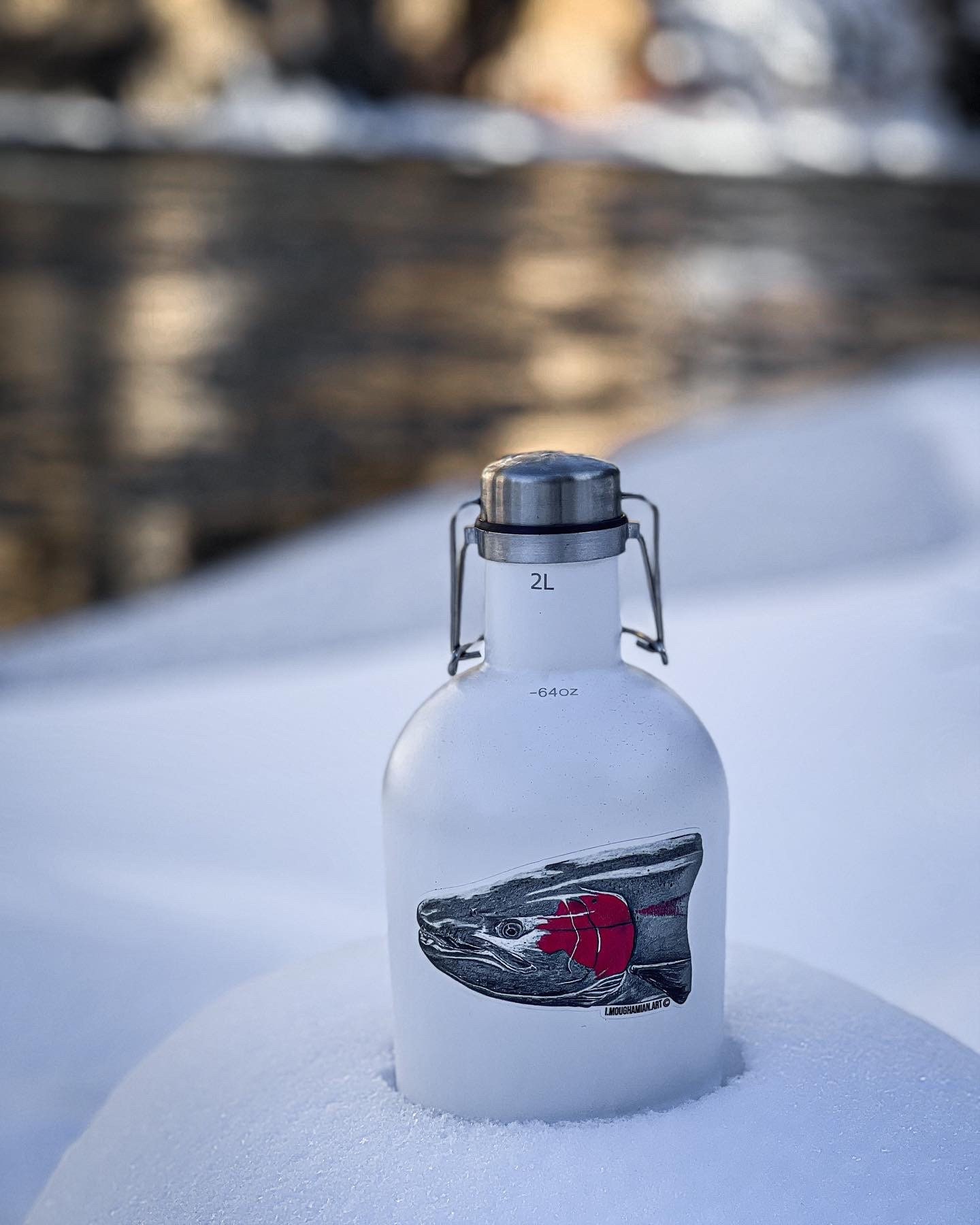 Steelhead Decal - Etsy