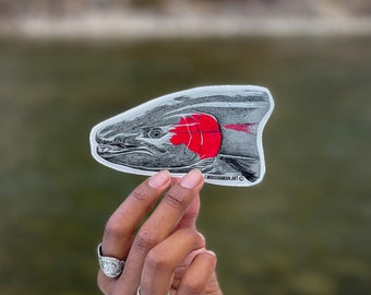 Steelhead Decal - Etsy