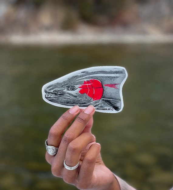 Steelhead Decal | Etsy