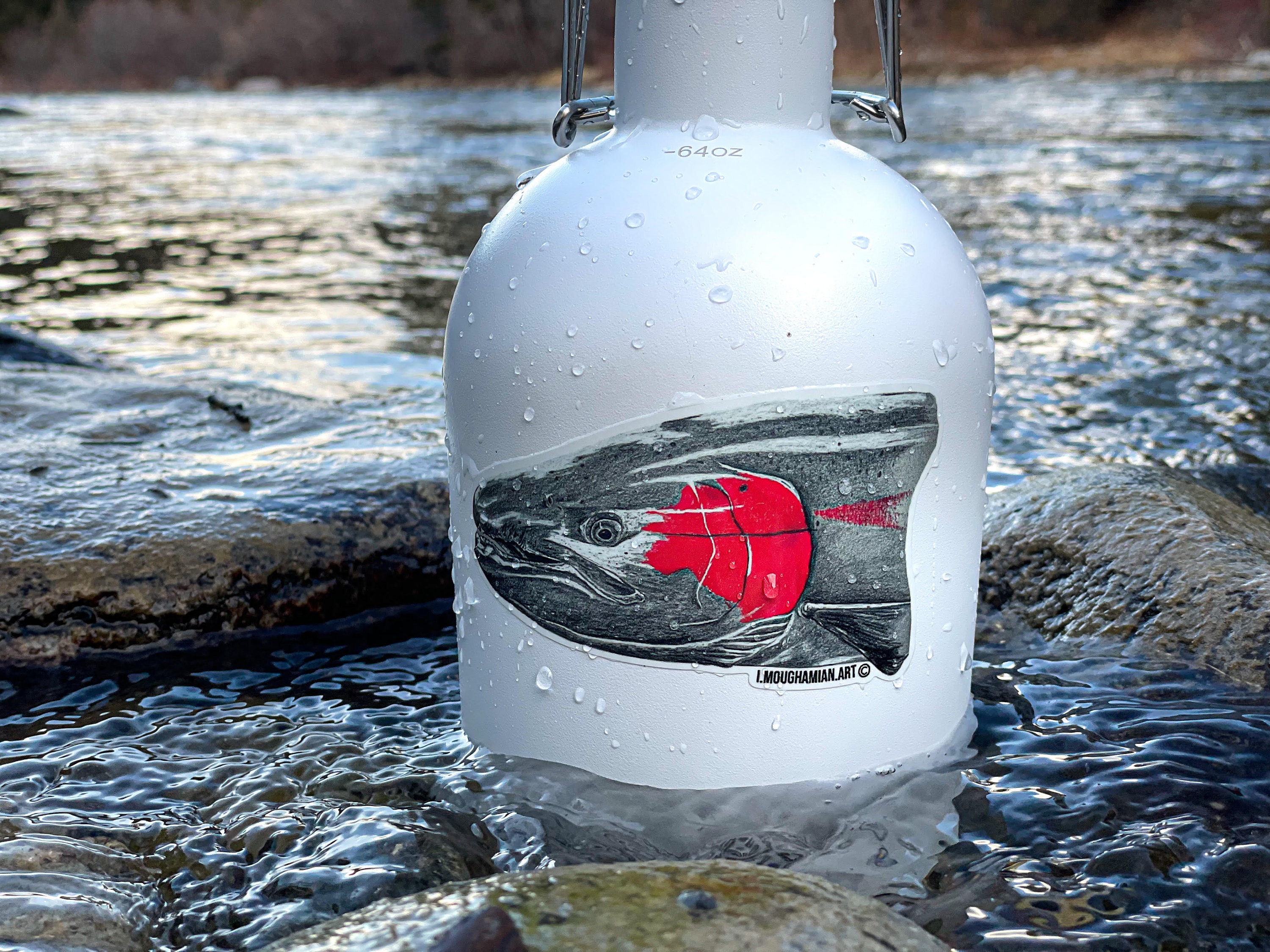 Steelhead Decal - Etsy