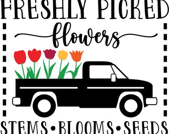Freshly Picked Svg - Etsy