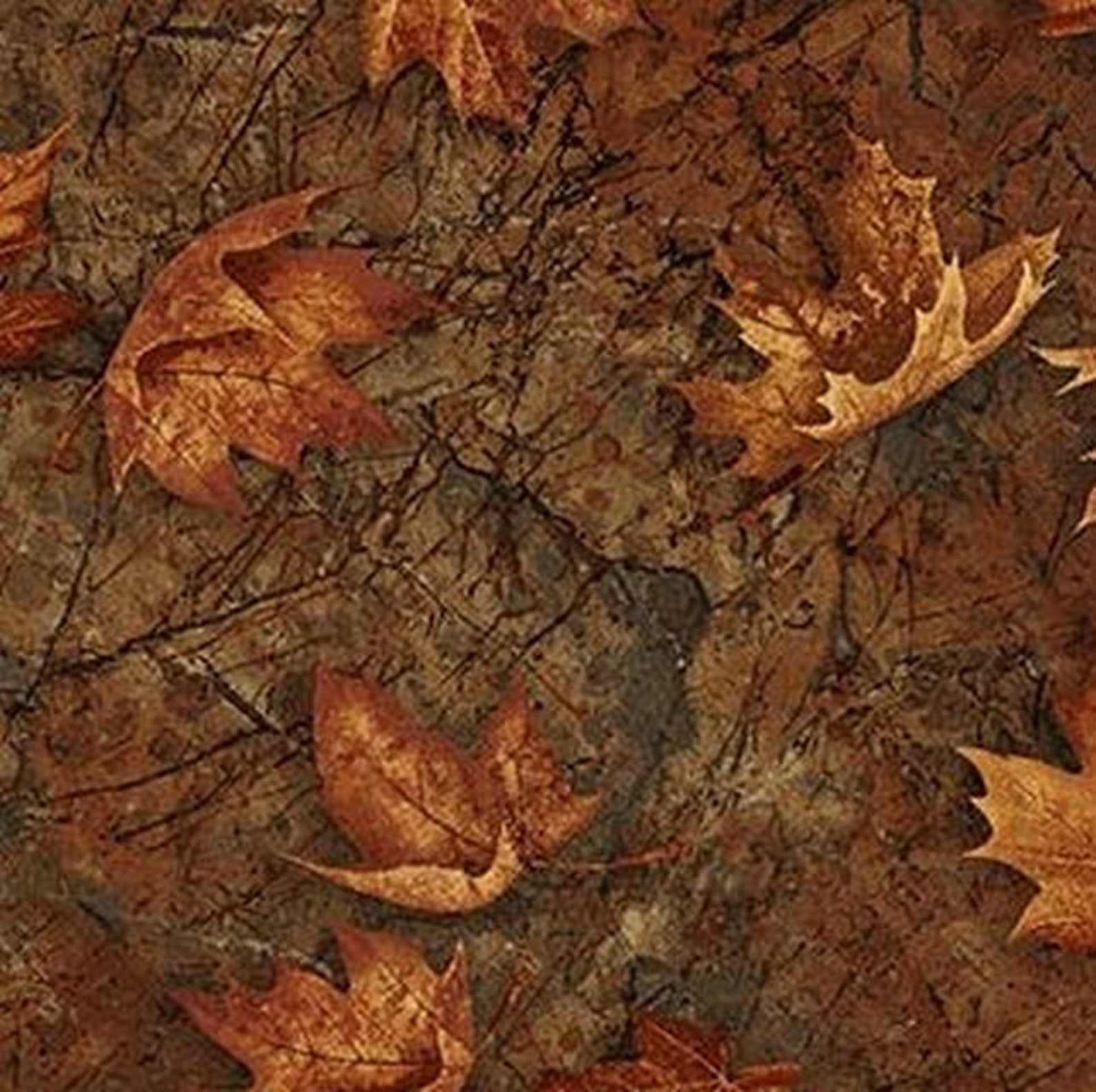 November Night Quilt Kit Finishes 68 X 82. - Etsy