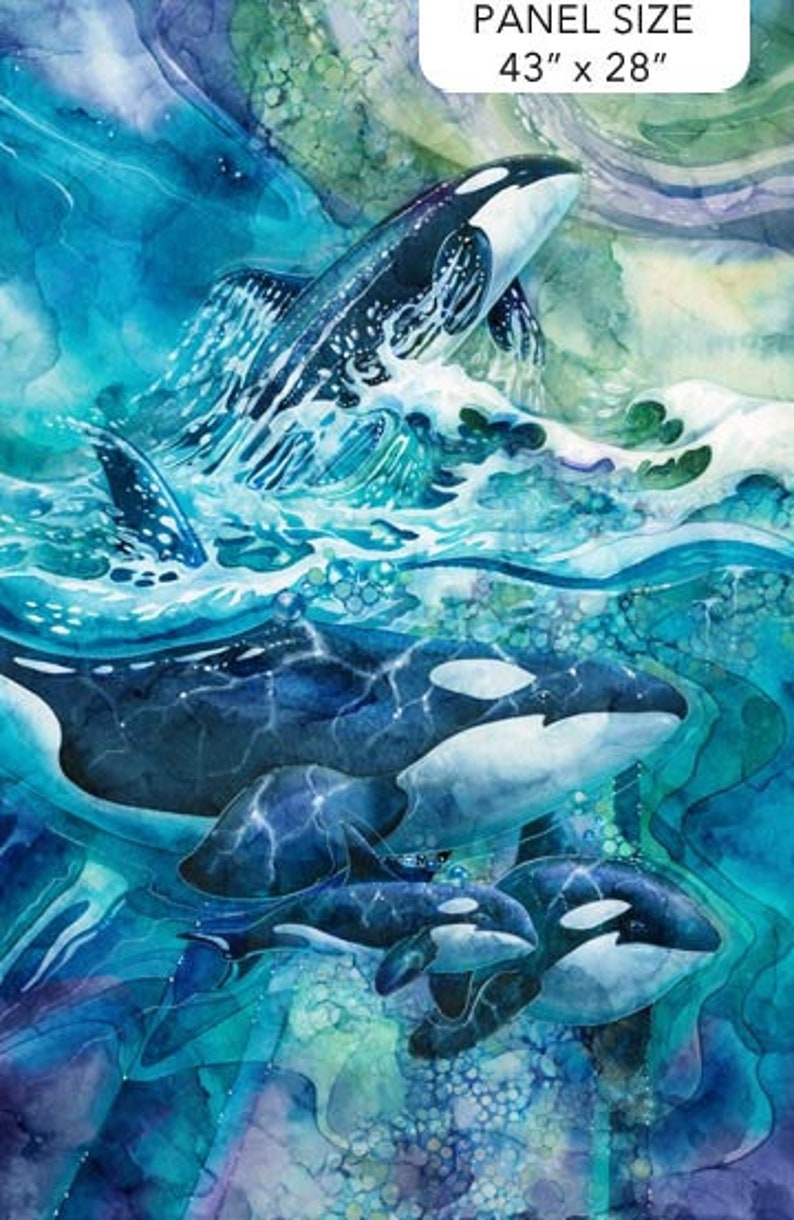 Save the Whales Queen Quilt Pattern (digital Pattern) - Etsy