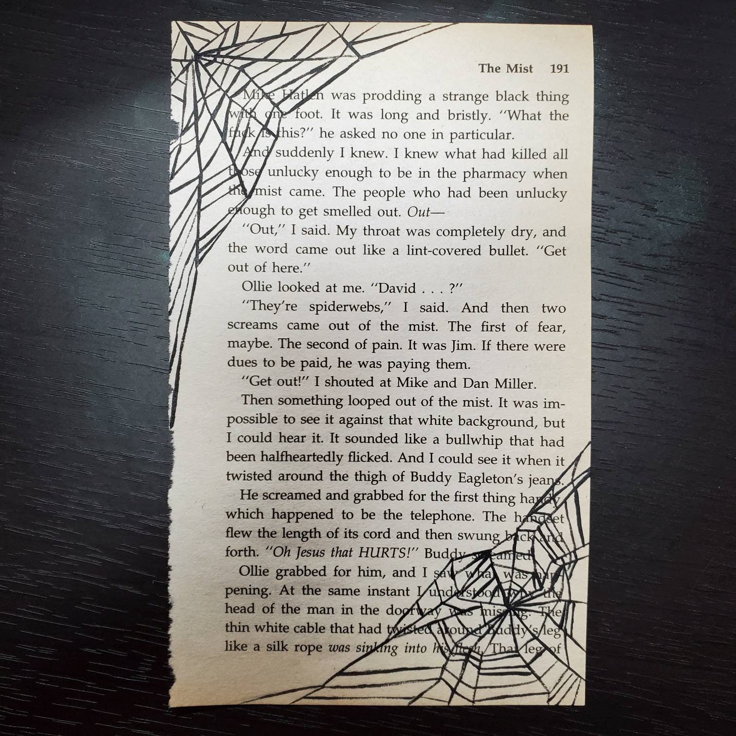Spider Web Book Page Art Stephen King the Mist - Etsy