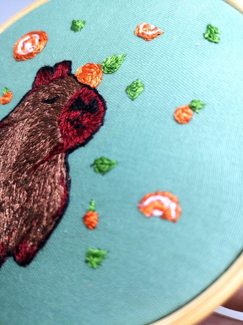 Capybara Hand Embroidery Hoop Finished Embroidery Wall Art - Etsy Canada