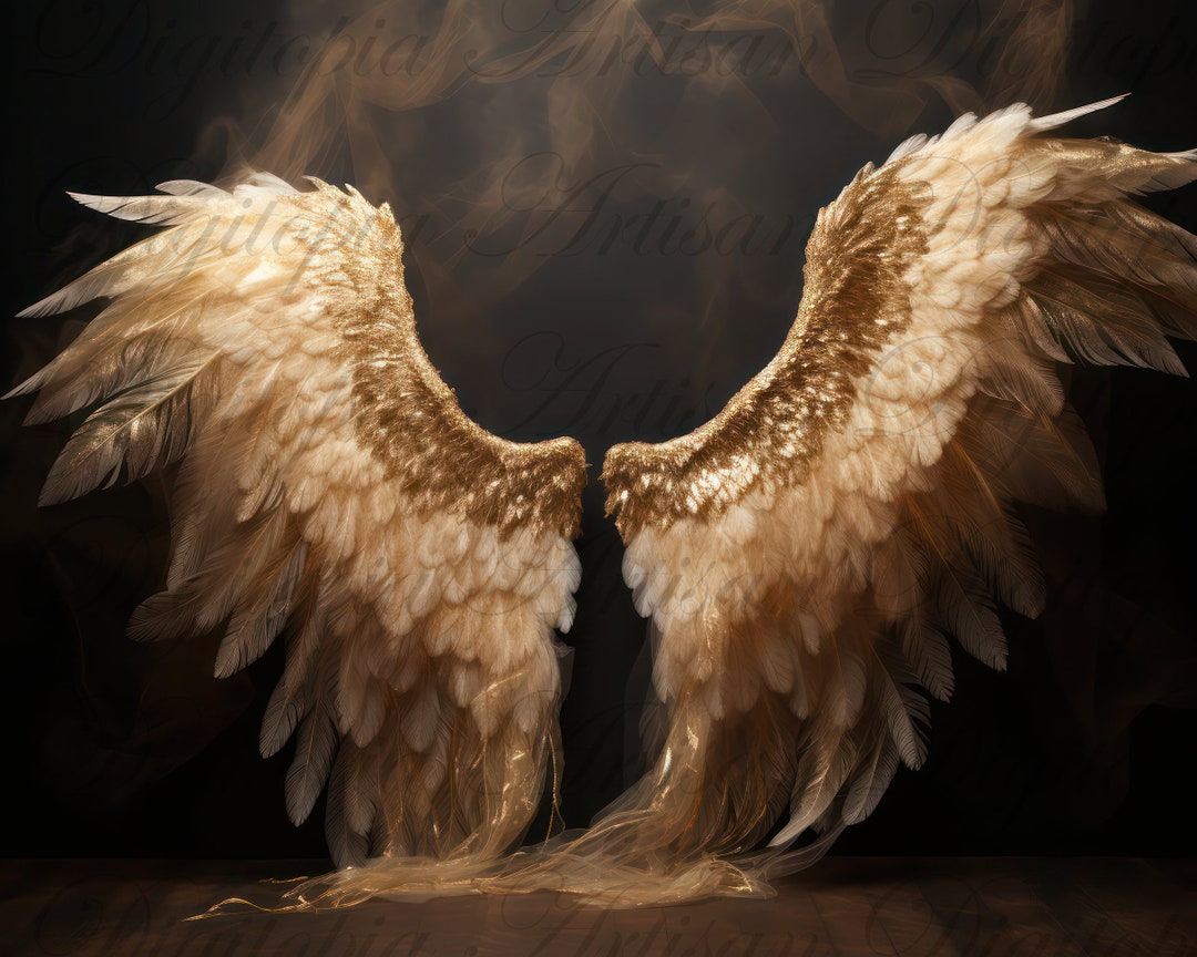 Gold Angel Wing Digital Backdrop for Maternity Bridal Boudoir ...