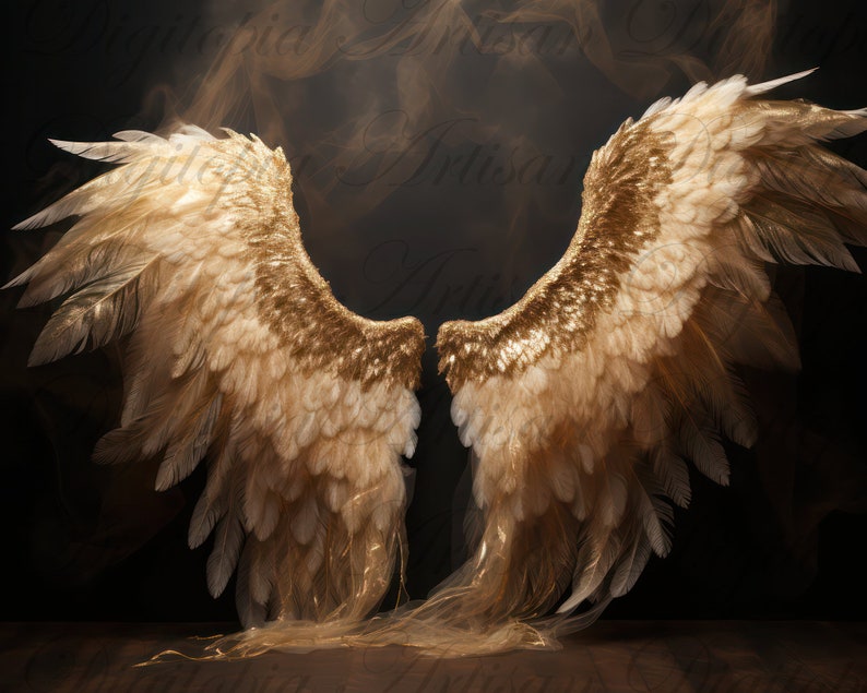 Gold Angel Wing Digital Backdrop for Maternity Bridal Boudoir ...