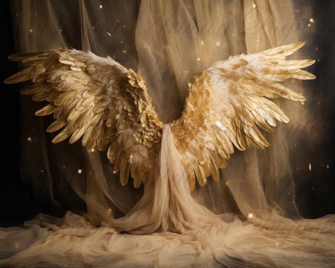 Gold Angel Wing Digital Backdrop for Maternity Bridal Boudoir ...