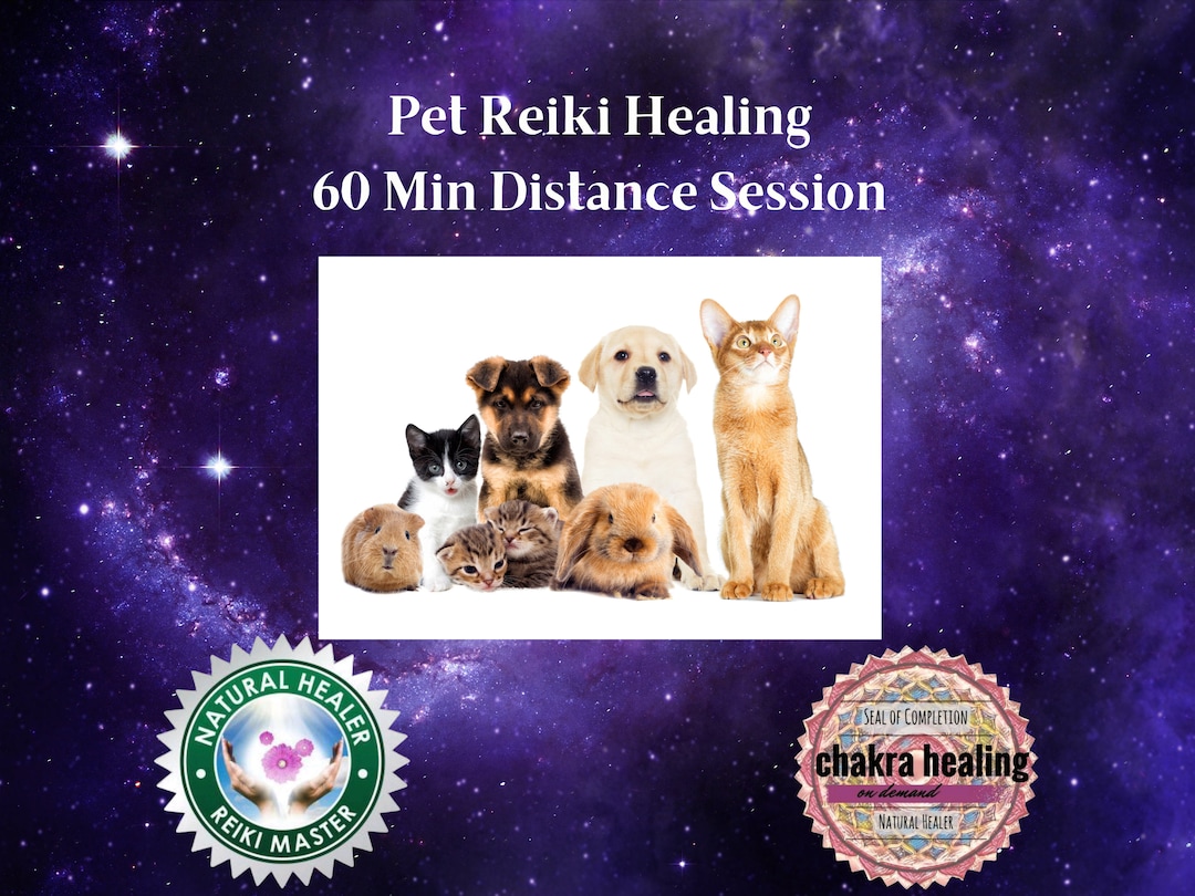 Animal Reiki Healing, Distance Animal Reiki, Pet Energy Clearing, Reiki ...