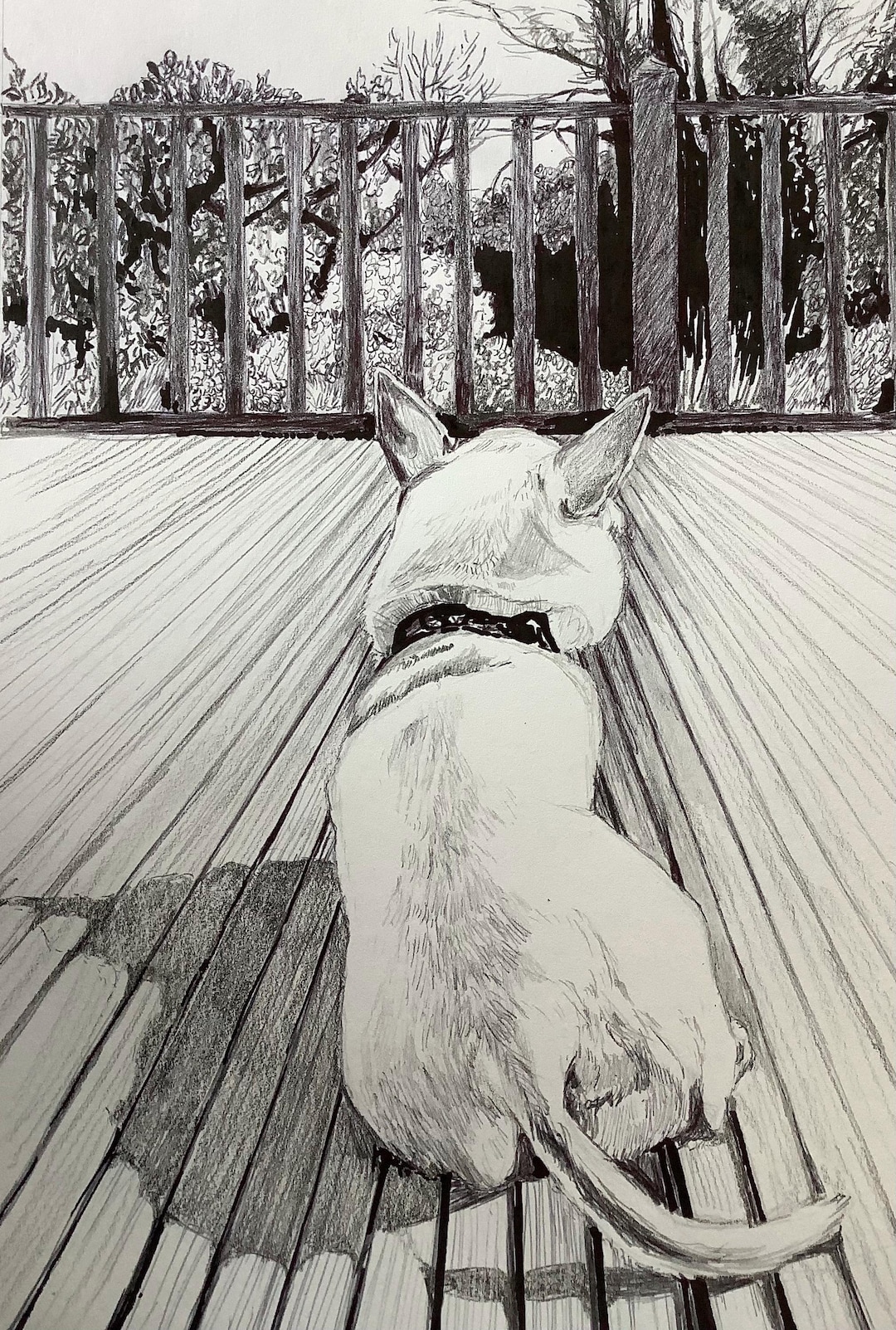 Chilling Chihuahua Pencil and Pen Original Drawing - Etsy