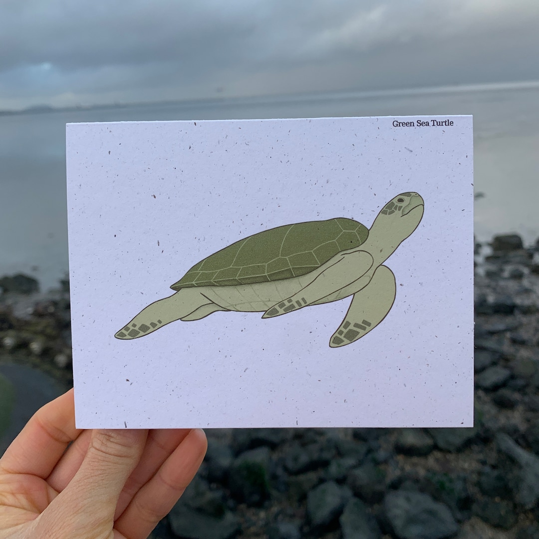 Green Sea Turtle Blank Card, Get Well Card, Wildlife Lover, Hemp ...