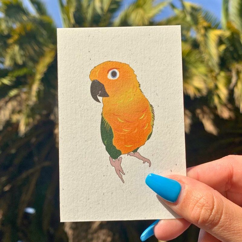 Conure Art - Etsy