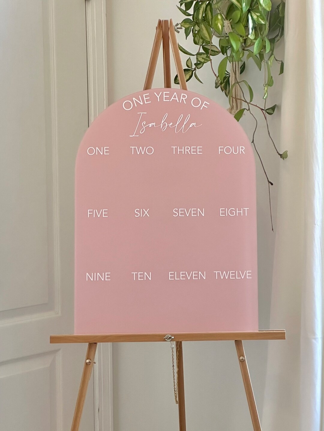 One Year of Baby, Birthday Display, First Birthday Sign, Monthly Photos ...