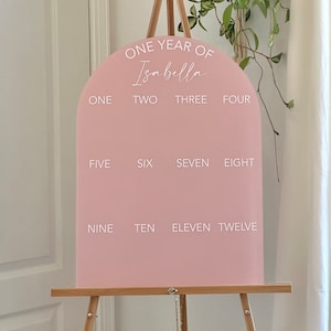 One Year of Baby, Birthday Display, First Birthday Sign, Monthly Photos ...