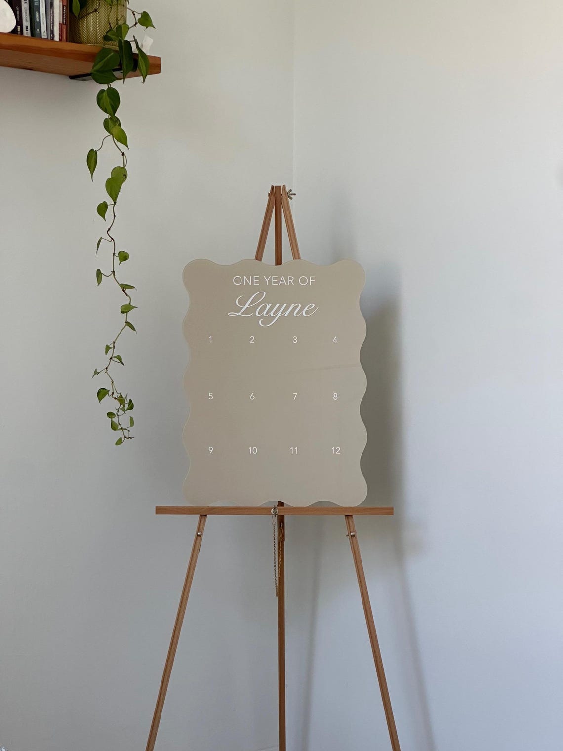 One Year of Baby, Birthday Display, First Birthday Sign, Monthly Photos ...