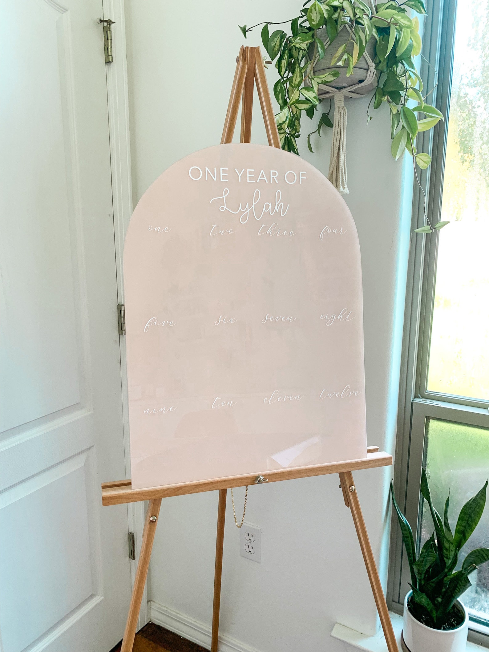 One Year of Baby, Birthday Display, First Birthday Sign, Monthly Photos ...