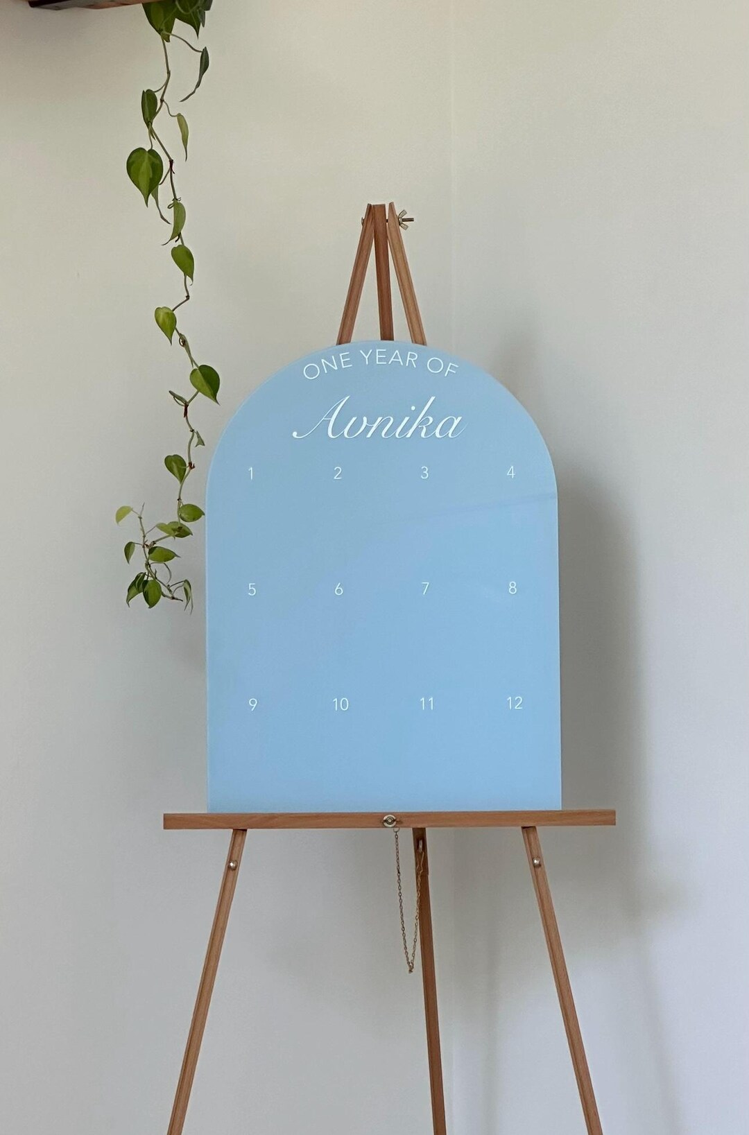 One Year of Baby, Birthday Display, First Birthday Sign, Monthly Photos ...