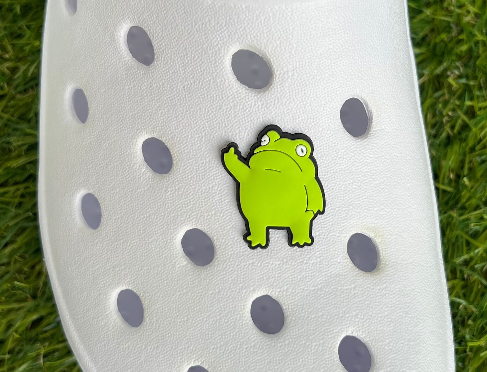 Cute Frog Croc Charms Animal Shoe Charm Frog Charm for - Etsy