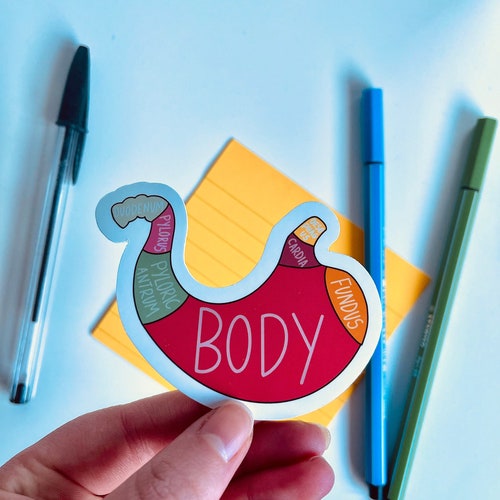 Labelled Anatomical Chest Sticker Healthcare Students - Etsy
