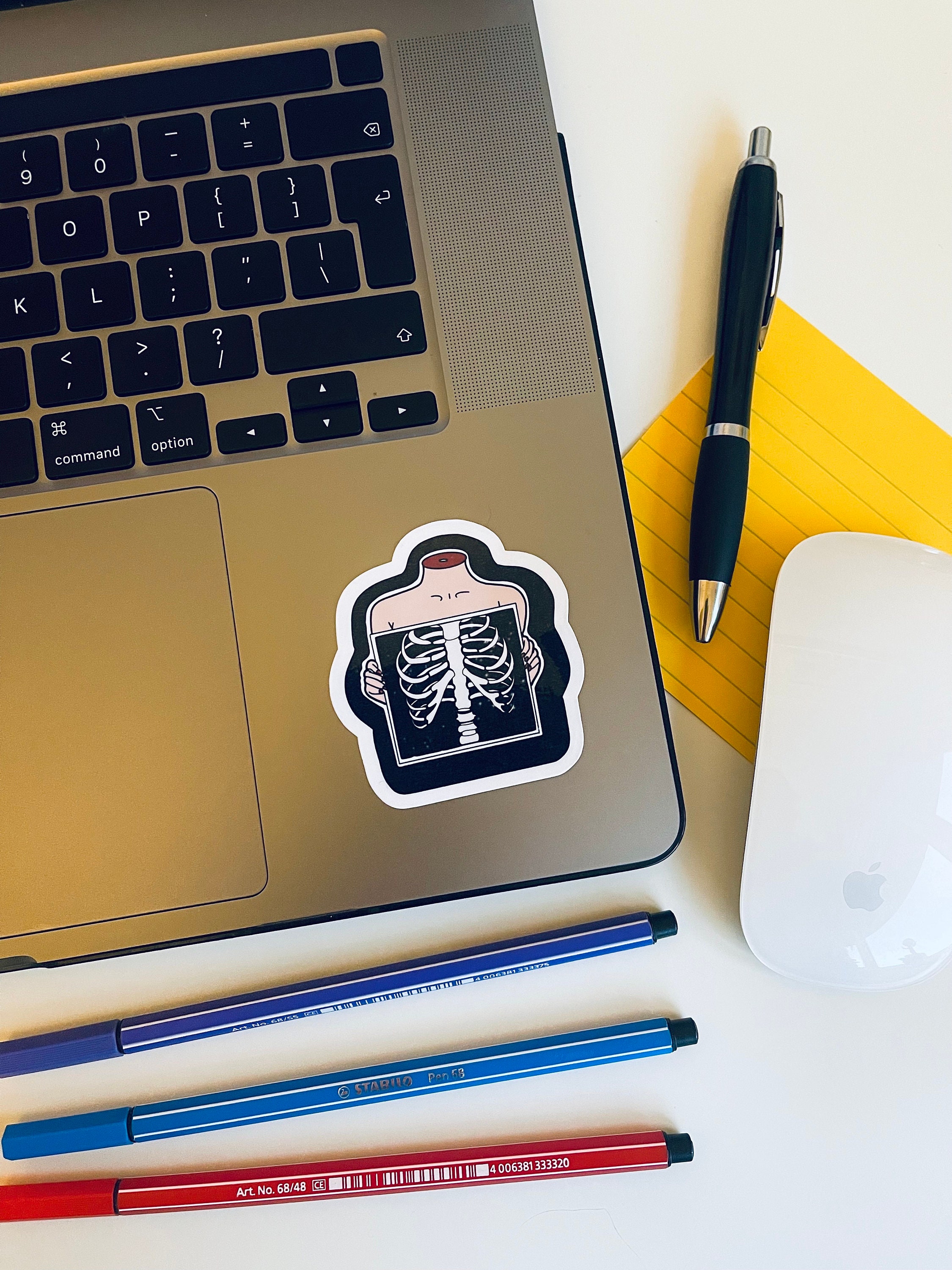 X-ray Anatomy Sticker // Medical Healthcare Students | Etsy