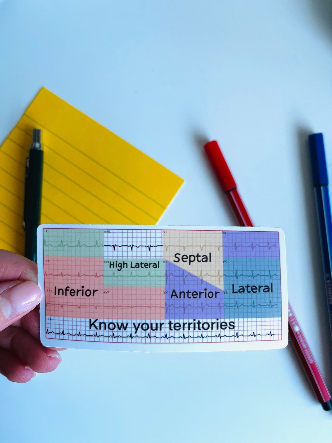 Labelled ECG Territories Sticker - Etsy