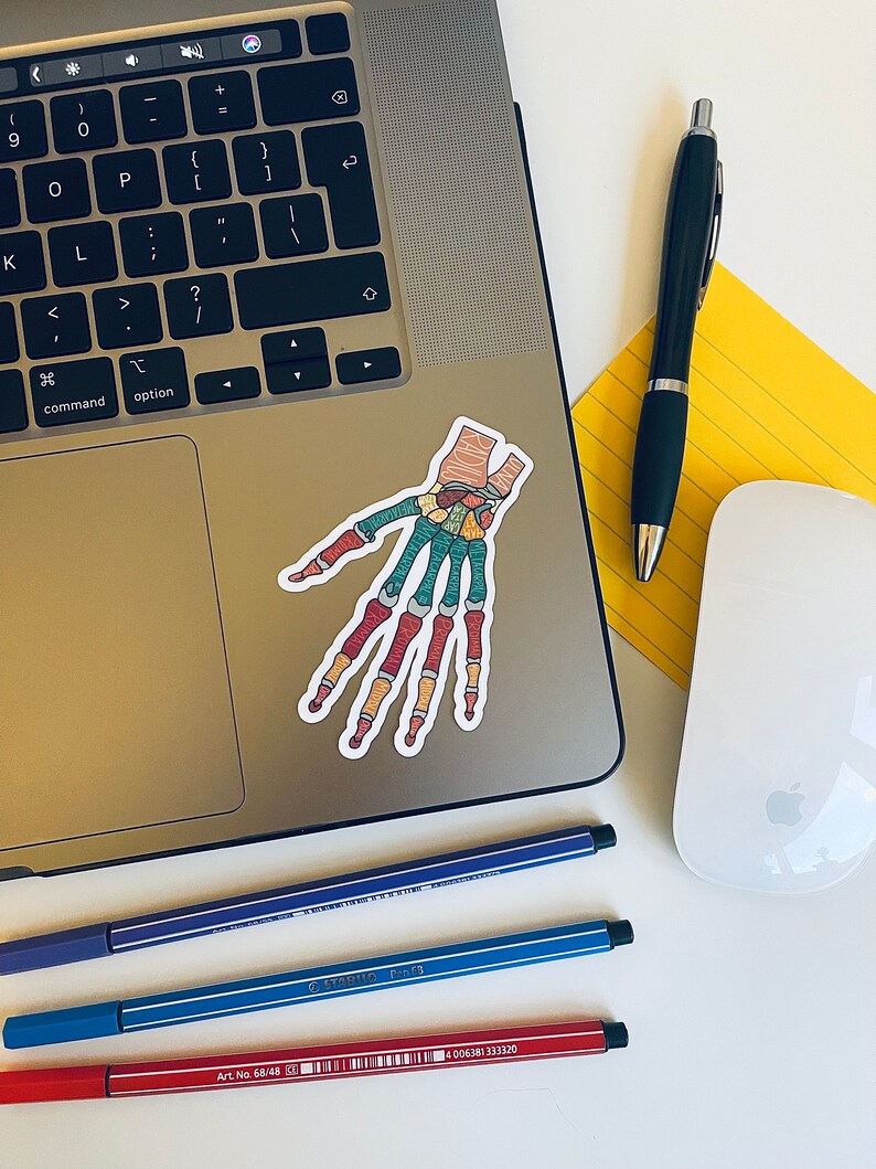 Labelled Anatomical Skeleton Hand Sticker Medical Students - Etsy