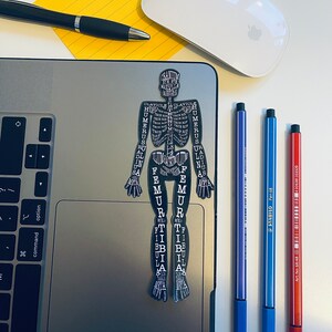 Labelled Skeleton Sticker Die Cut // Medical Students - Etsy