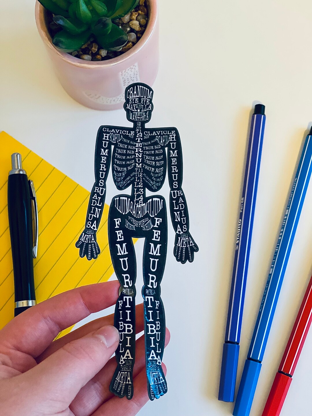 Labelled Skeleton Sticker Die Cut // Medical Students - Etsy