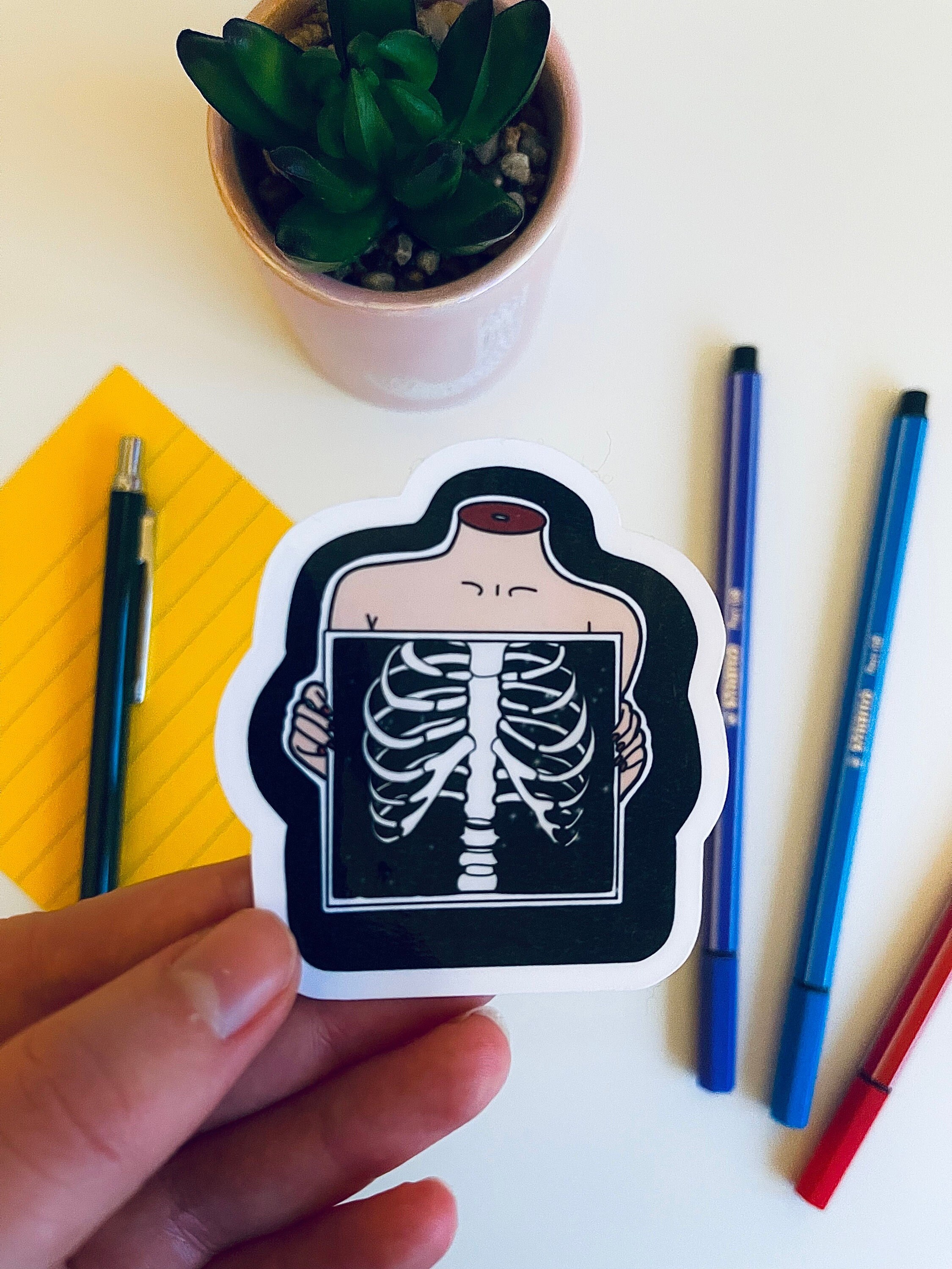 X-ray Anatomy Sticker // Medical Healthcare Students | Etsy