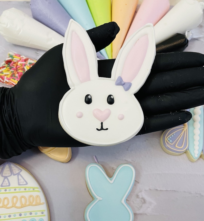 Easter Cookie Decorating Kit, Spring/easter Cookies DIY Cookie Kit ...