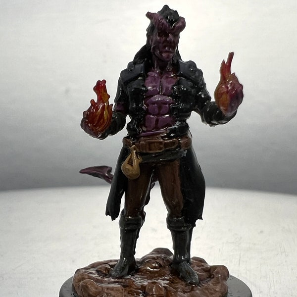 Aarokocra Paladin Cleric Fighter Painted Miniature Dungeons Dragons D&D ...