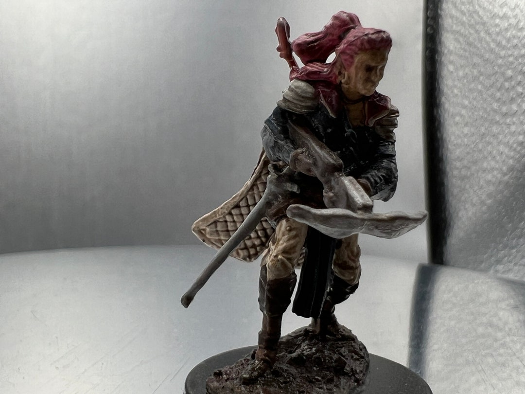 Female Elf Bard Rogue Ranger Painted Miniature Dungeons Dragons D&D DND ...