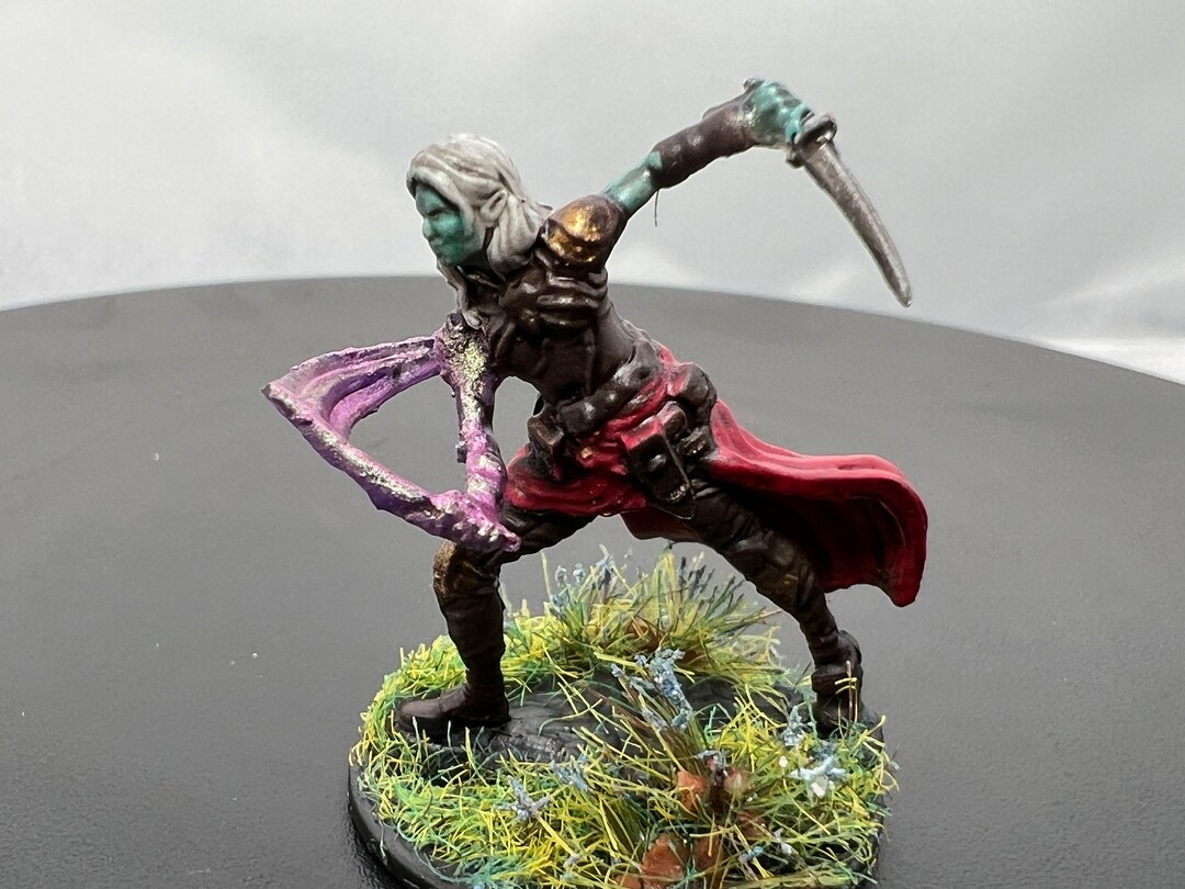 Female Air Genasi Elf Rogue Ranger Painted Miniature Dungeons Dragons D ...