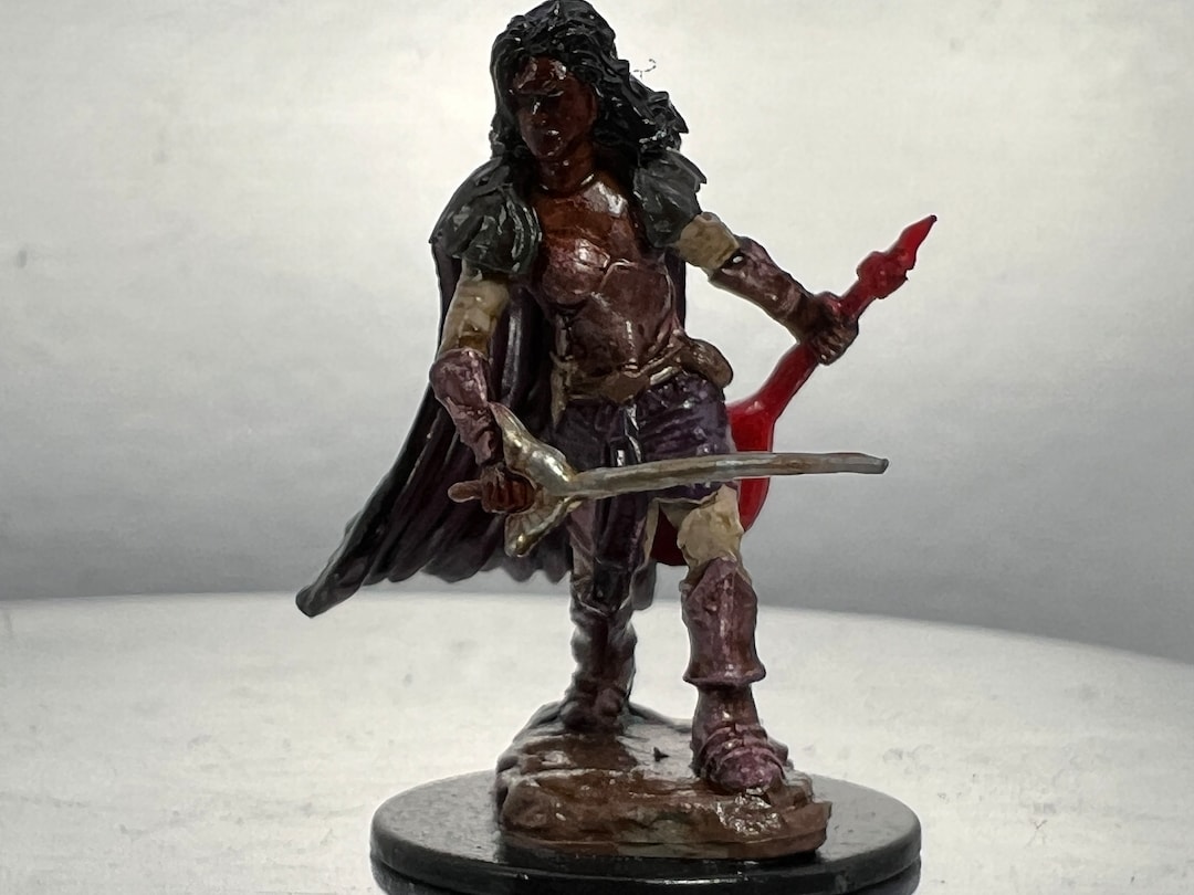 Female Elf Bard Rogue Fighter Painted Miniature Dungeons Dragons D&D ...