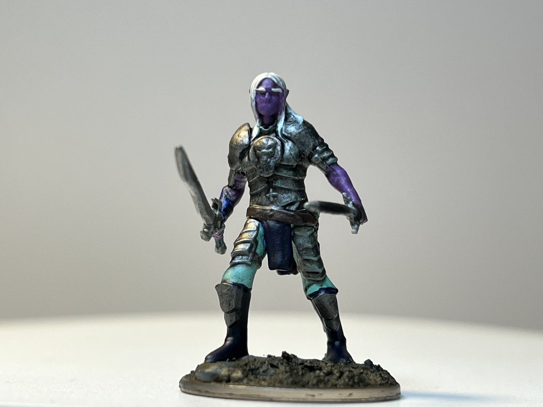 Male Drow Dark Elf Fighter Paladin Sword Swashbuckler Hand Painted ...
