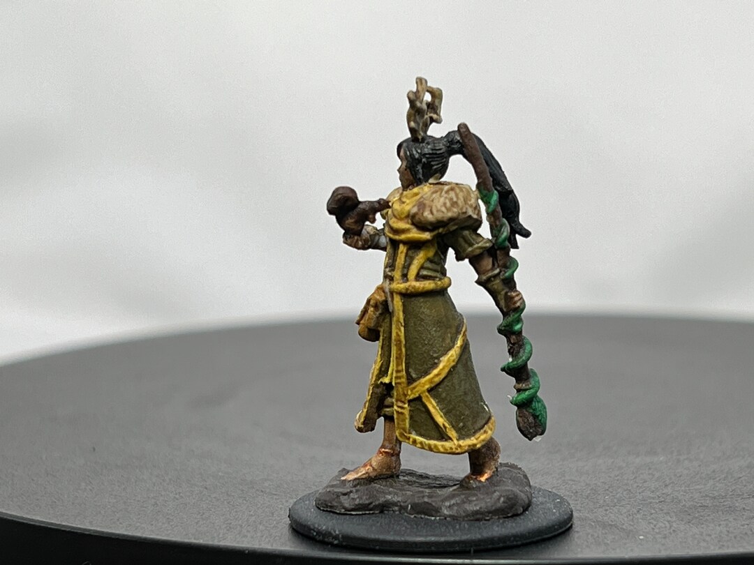 Female Human Druid Ranger Painted Miniature Dungeons Dragons D&D DND ...