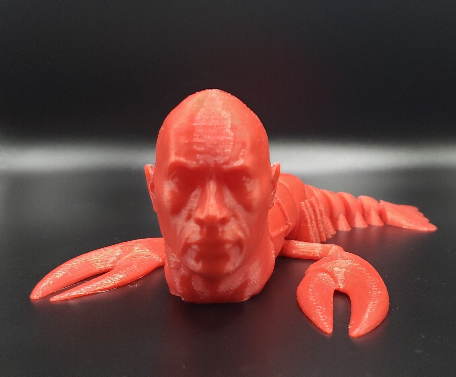 Lobster Rock Lobster 3d Printed Fidget Toy - Etsy