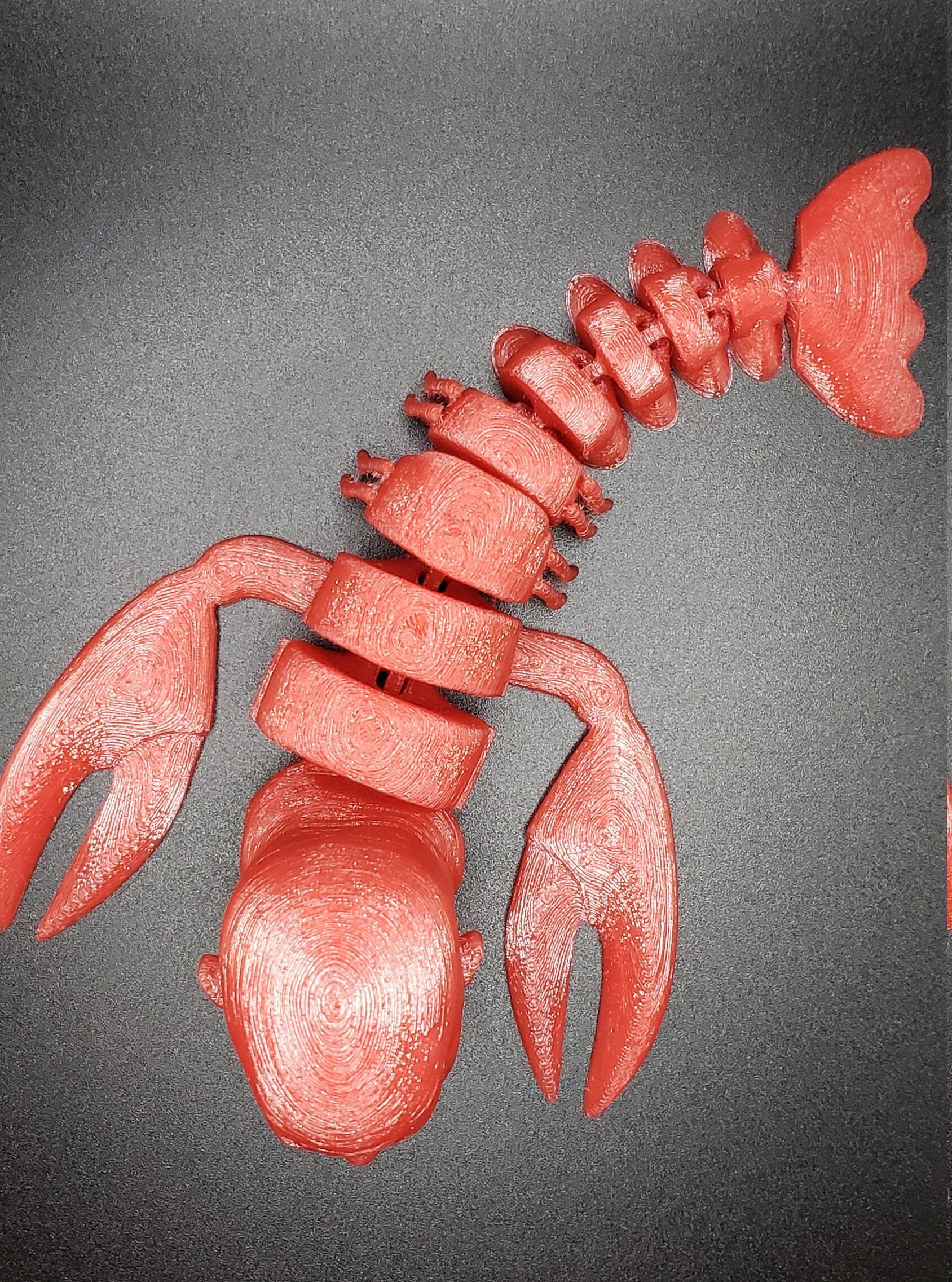 Lobster Rock Lobster 3d Printed Fidget Toy - Etsy