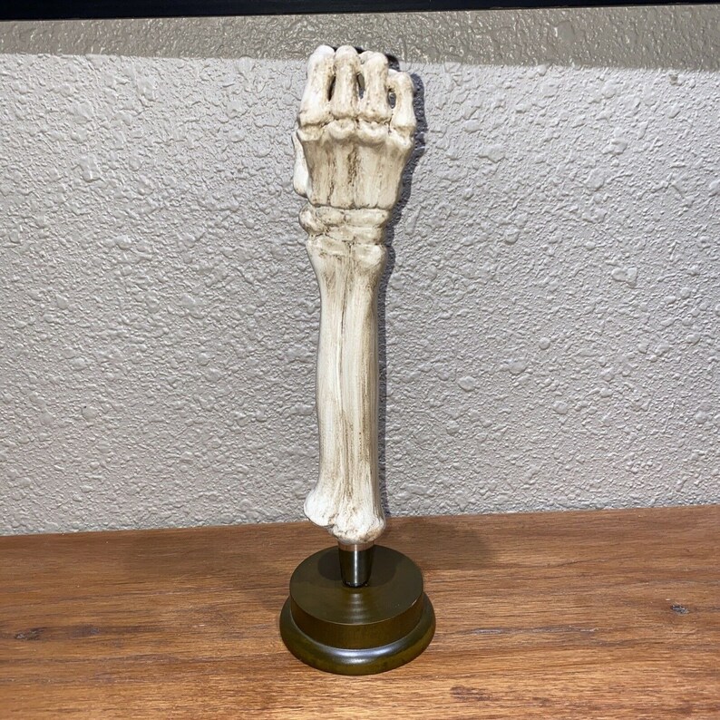 Realistic Skeleton Hand Beer Tap Handle 10.5 Tall - Etsy