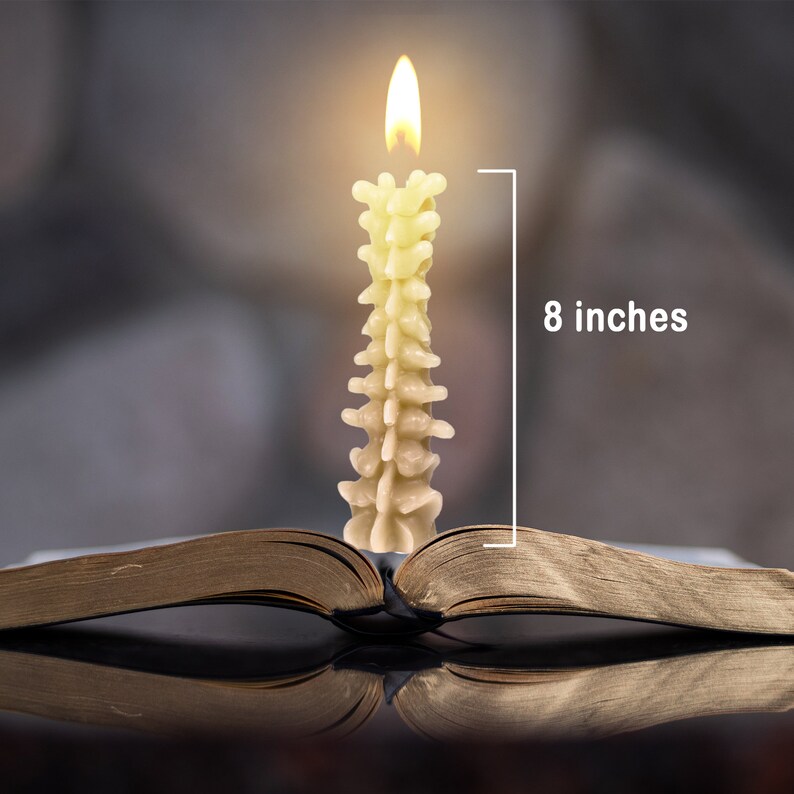 Zellinni Spine Candle Spinal Cord Bone Decoration for - Etsy