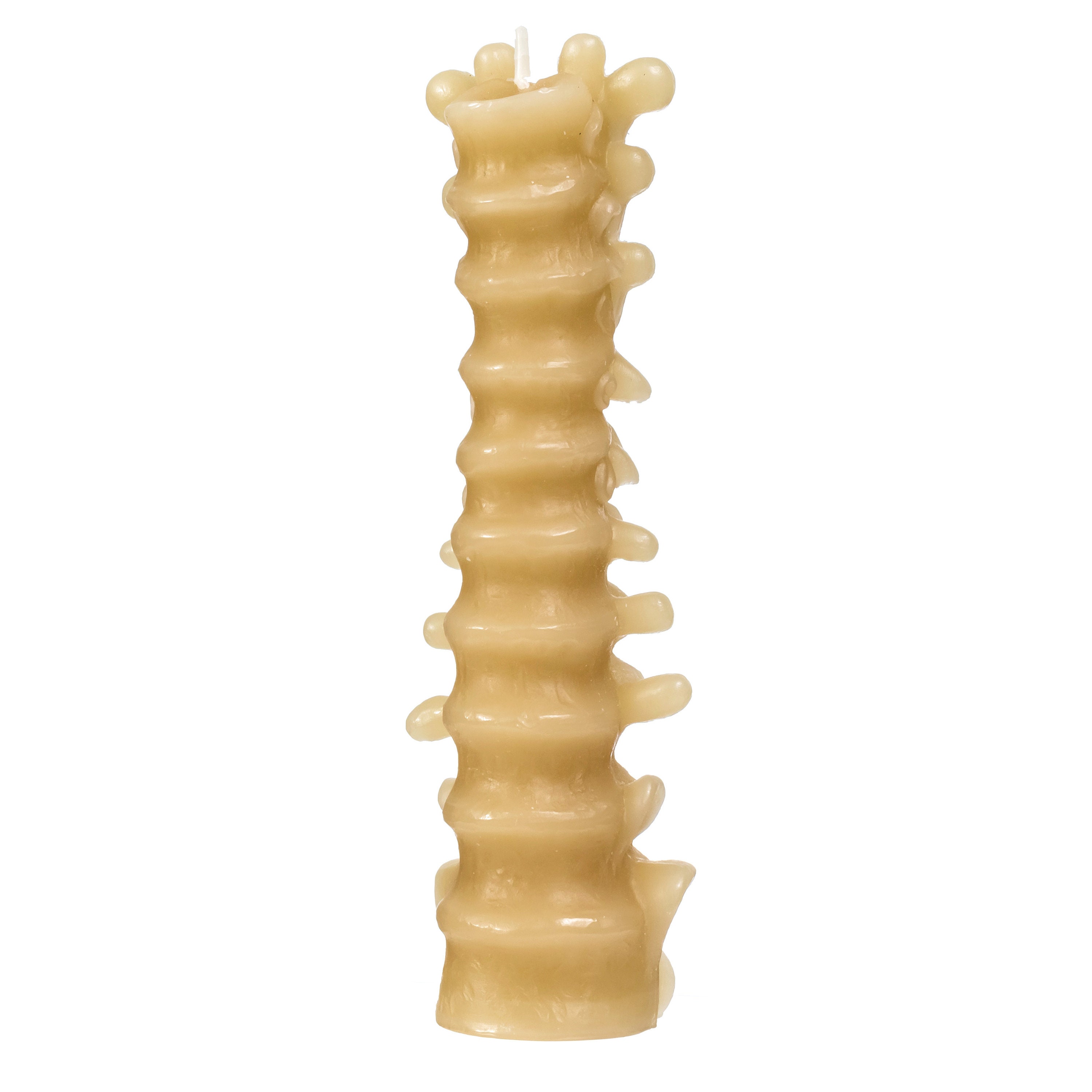 Zellinni Spine Candle Spinal Cord Bone Decoration for - Etsy