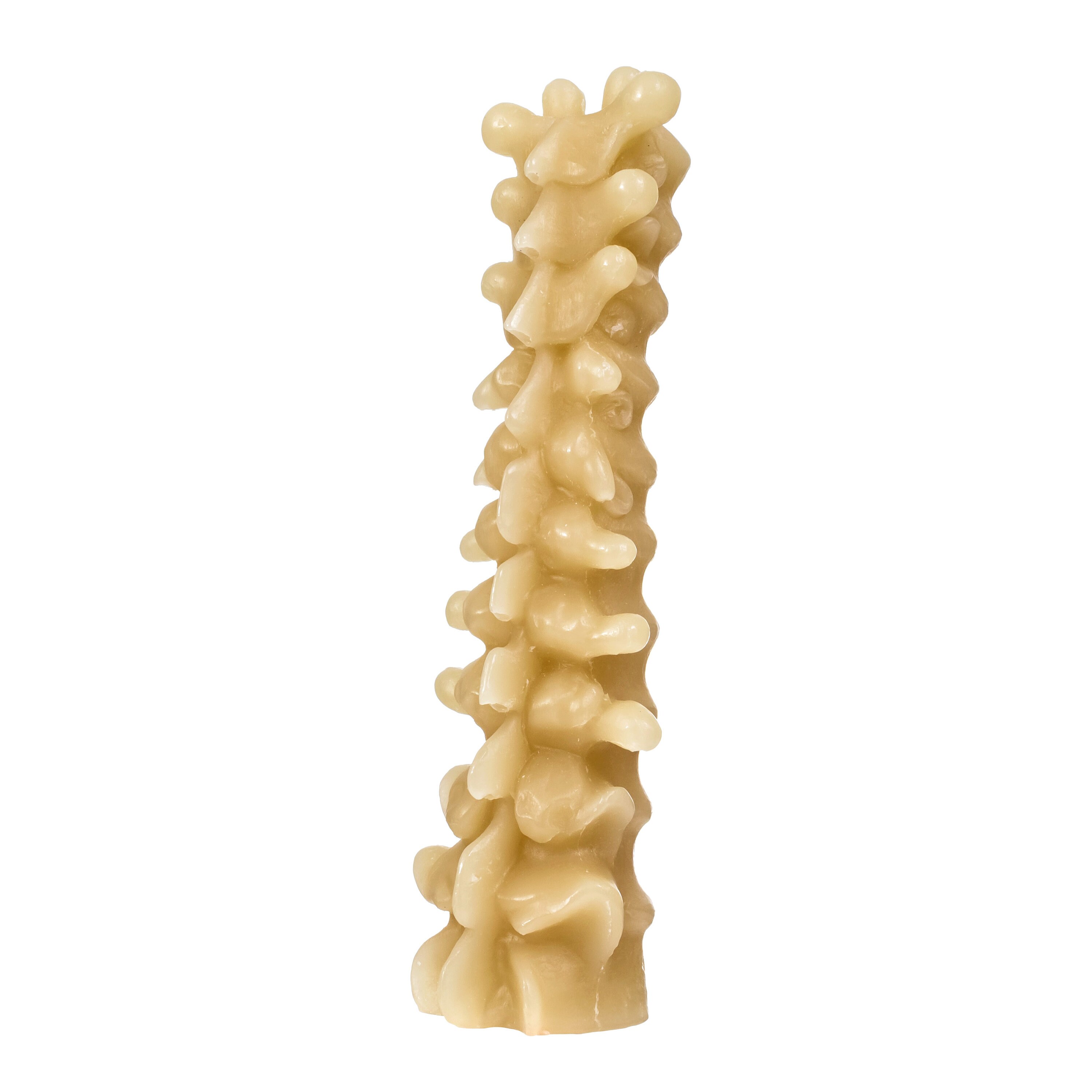 Zellinni Spine Candle Spinal Cord Bone Decoration for - Etsy