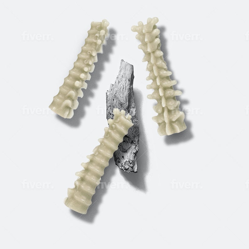 Zellinni Spine Candle Spinal Cord Bone Decoration for - Etsy
